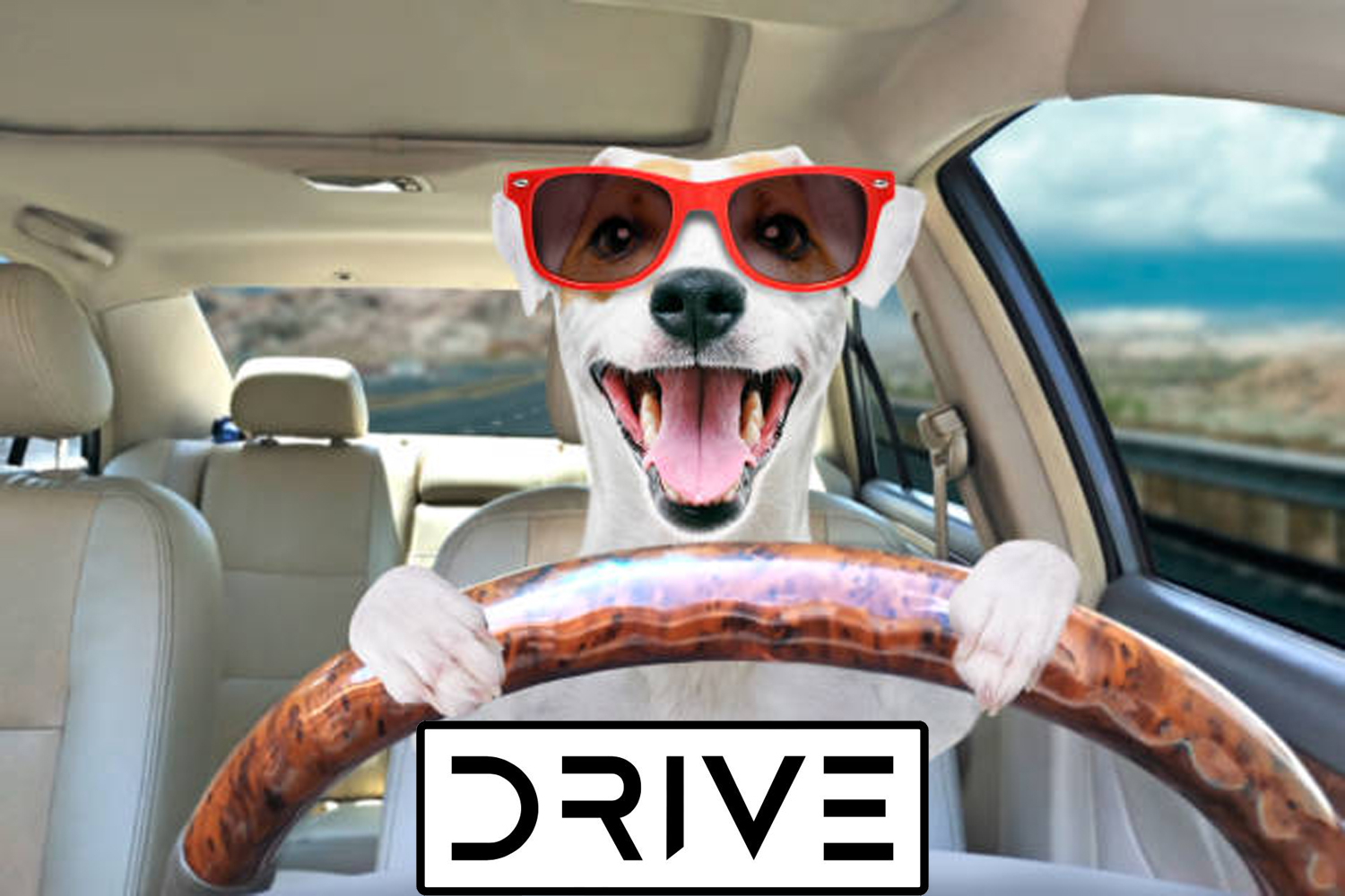 Drive srl